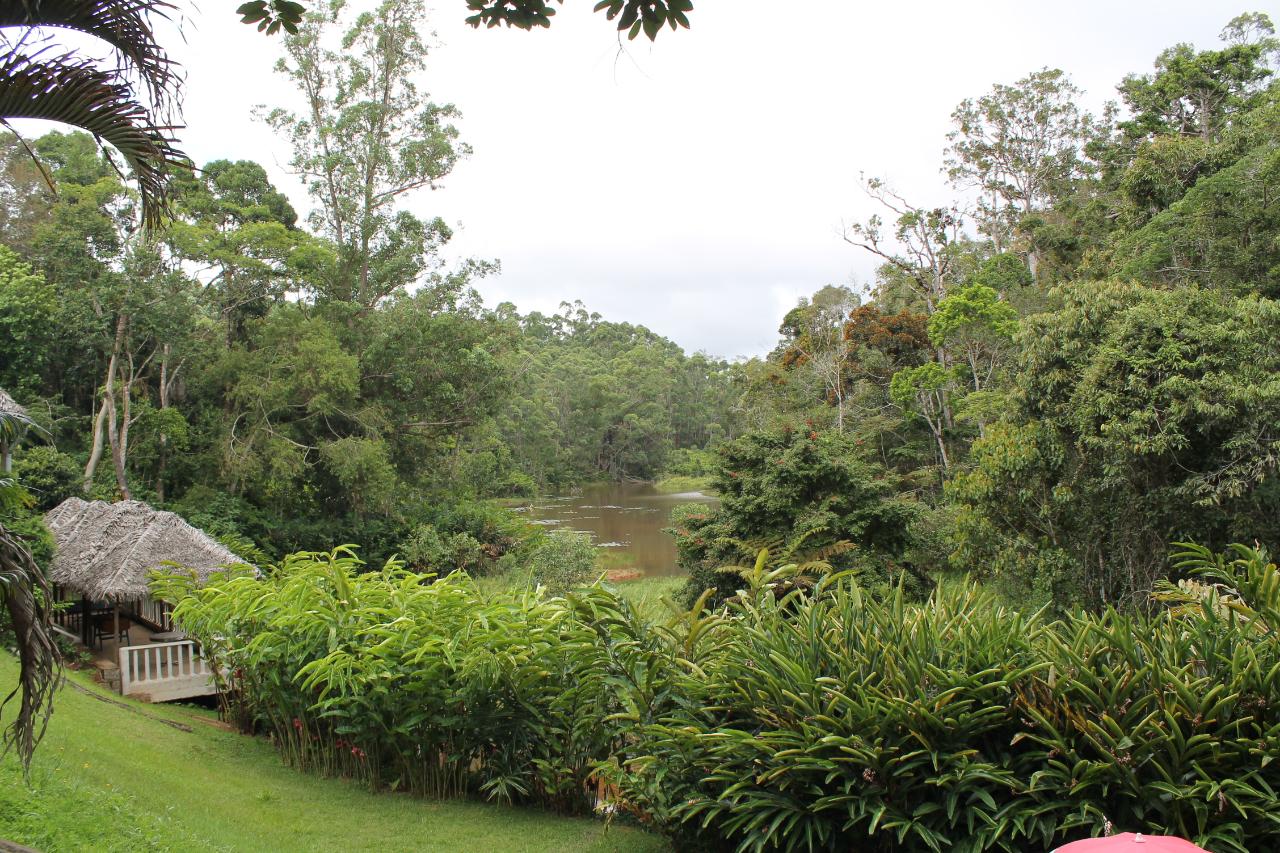 Madagascar Andasibe Mantadia National Park Visit