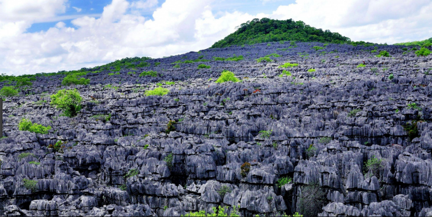 9 Day Tour from Nosy Be Northern Madagascar to L’Ankarana and L’Ambre ...